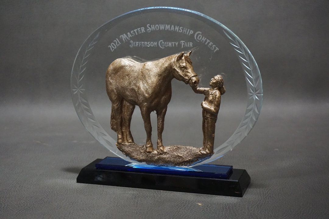 3D Livestock Showmanship Award, Beef, Hog, Sheep, Goat, Dairy, Fair ...