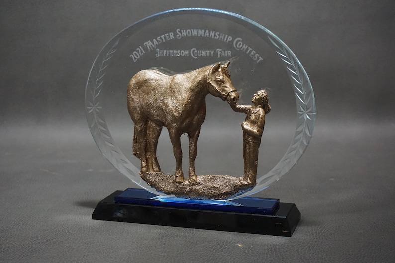 3D Livestock Showmanship Award, Beef, Hog, Sheep, Goat, Dairy, Fair ...