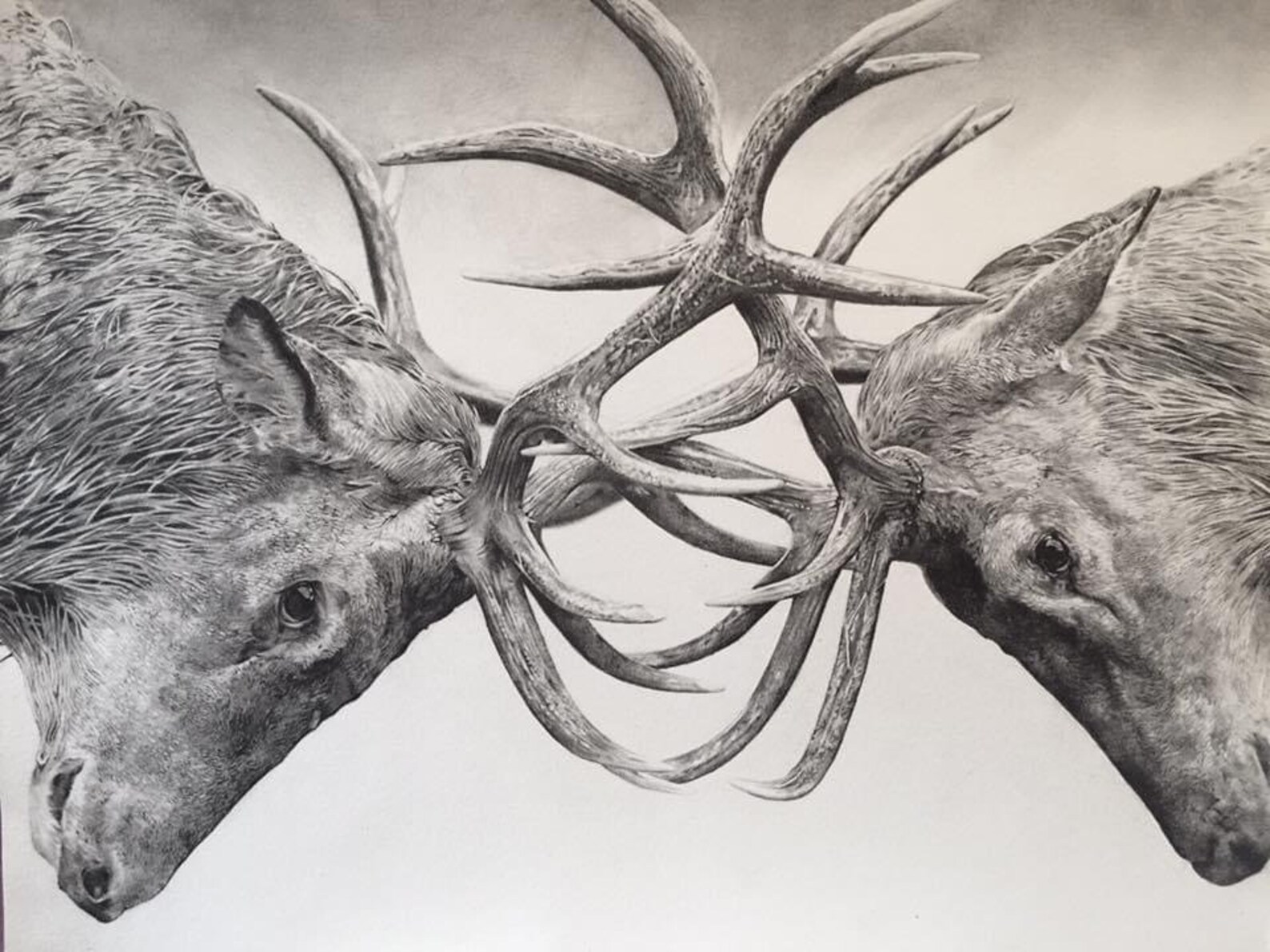 Gemini Deer - Etsy
