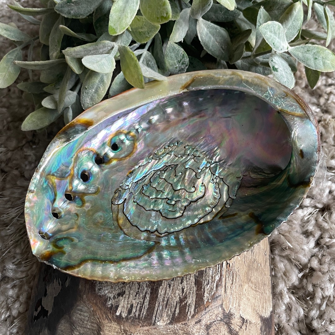 Abalone Shell Smudging Altar Meditation - Etsy