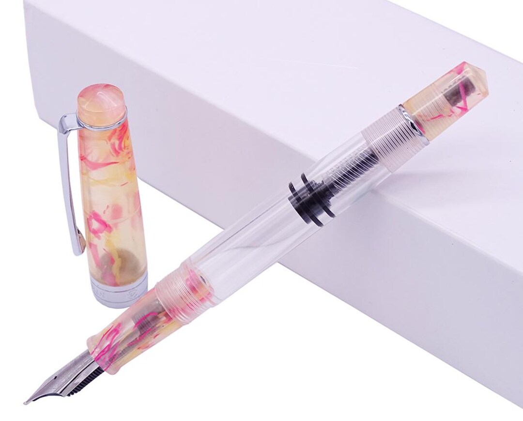 PENBBS 309-58 Pink Transparent Resin Piston Fountain Pen, Iridium Fine ...