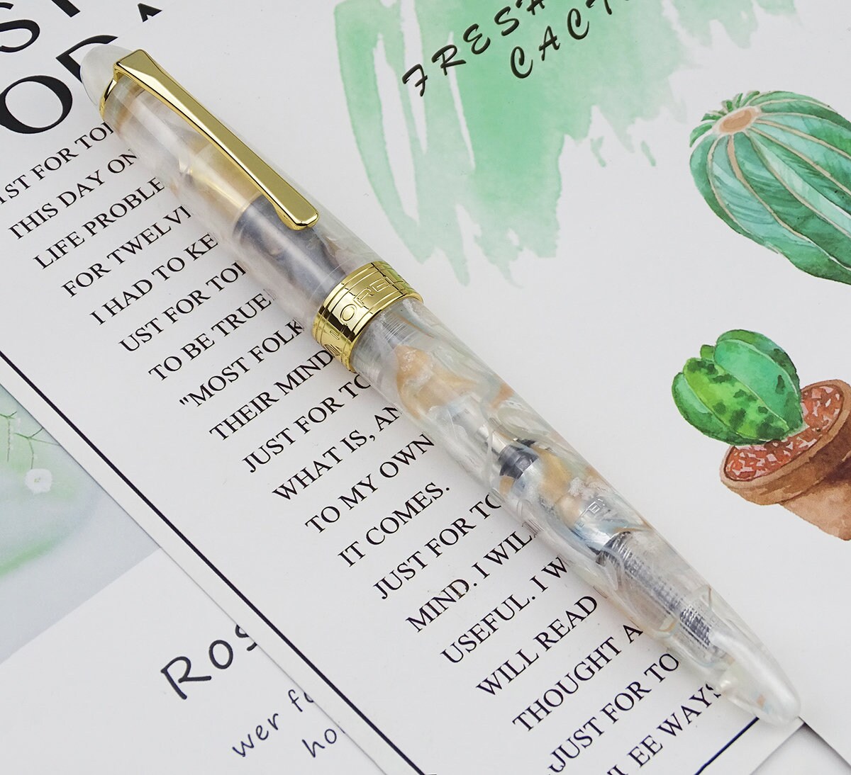 LORELEI 667 Transparent Acrylic Fountain Pen Iridium EF/ F | Etsy