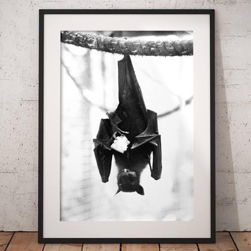 Bat Poster - Etsy
