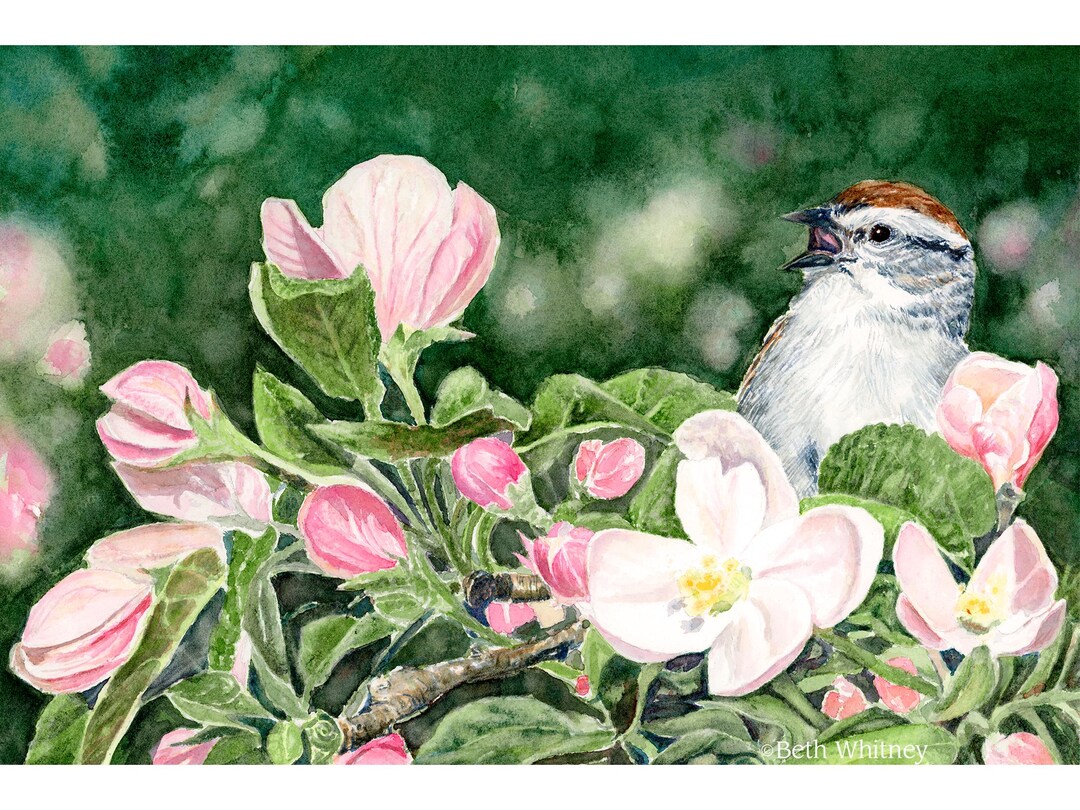 Ode to Spring, Songbird Watercolor Art Print, Apple Blossoms, Spring ...