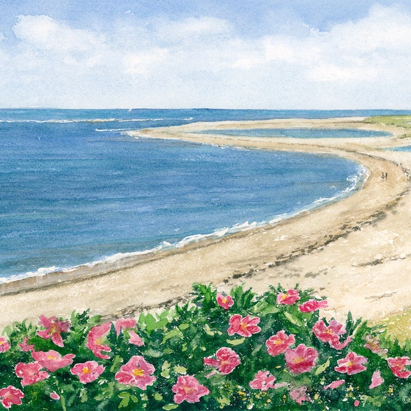 Cape Cod Beach - Etsy