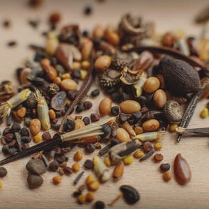 Set of 10 - Bee Friendly Wildflower Seed Packets: Wedding, Birthday ...