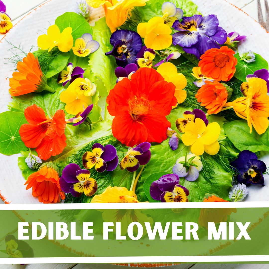 Edible Flower Seed Mix, All Zones, Edible Flower Heirloom Seed Mix ...