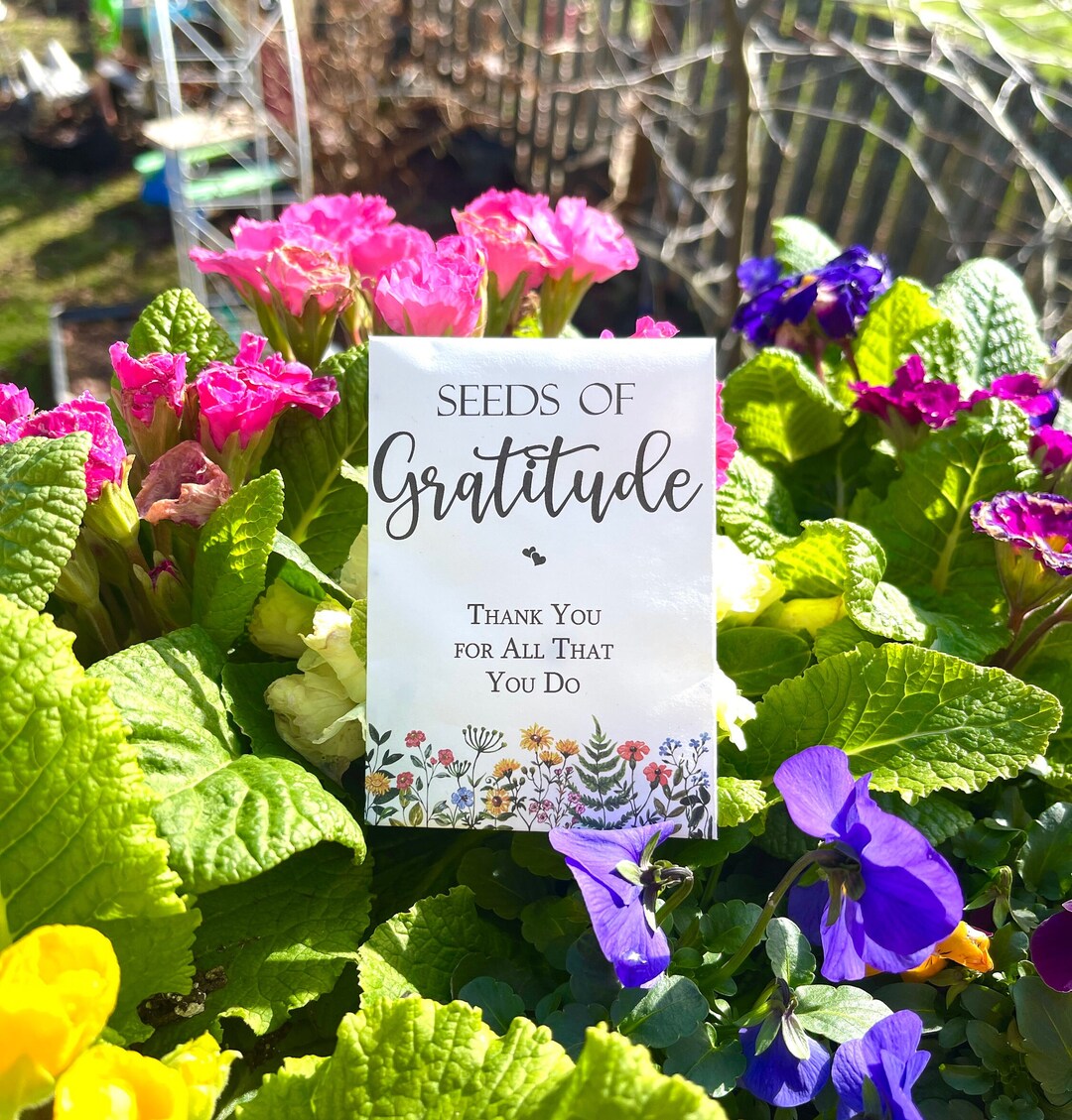 Set of 10 - Seeds of Gratitude - Thank You Seed Packet, Baby Shower ...