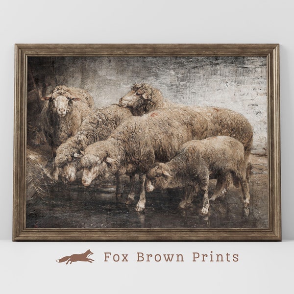 Sheep Art Print - Etsy