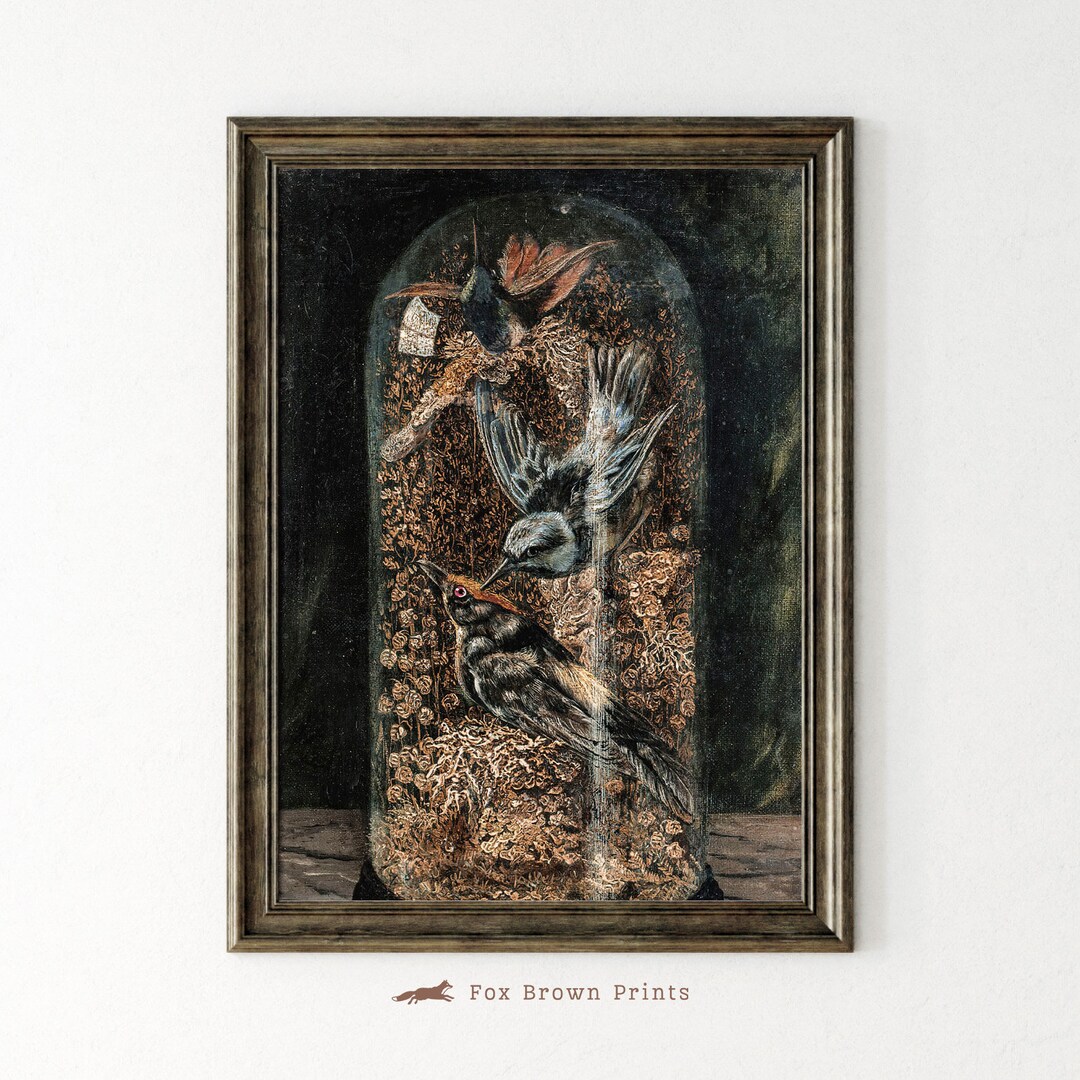 Victorian Taxidermy Bird Print, Dark Stuffed Birds Art (digital ...