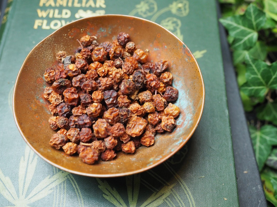 English Rowan Berries - Protection, Work With the Fey - Spellwork or ...