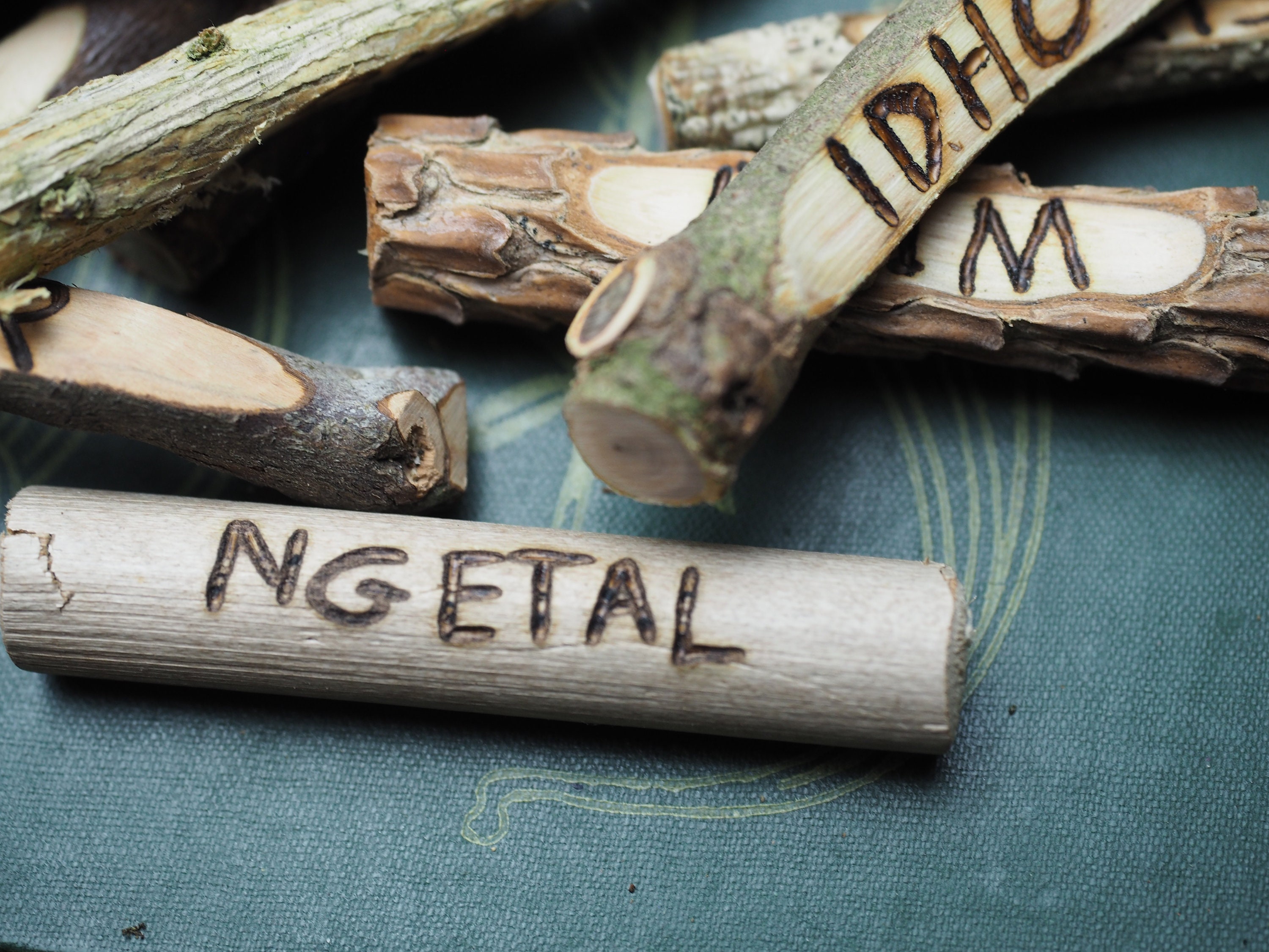 20 Celtic Tree Ogham Staves With Gaelic Letter Names Made on - Etsy