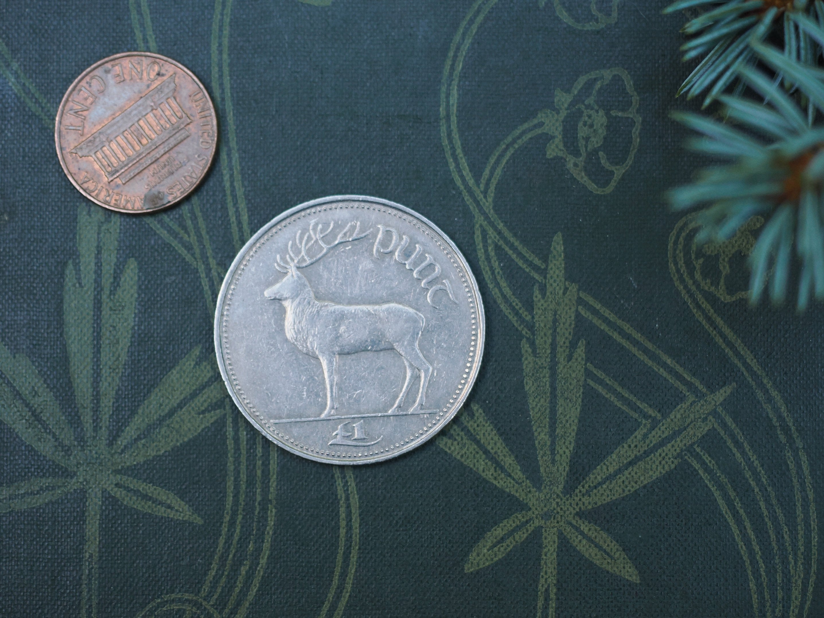 Old Irish Pound Coin Stag Punt Coin Spell-work Magic - Etsy