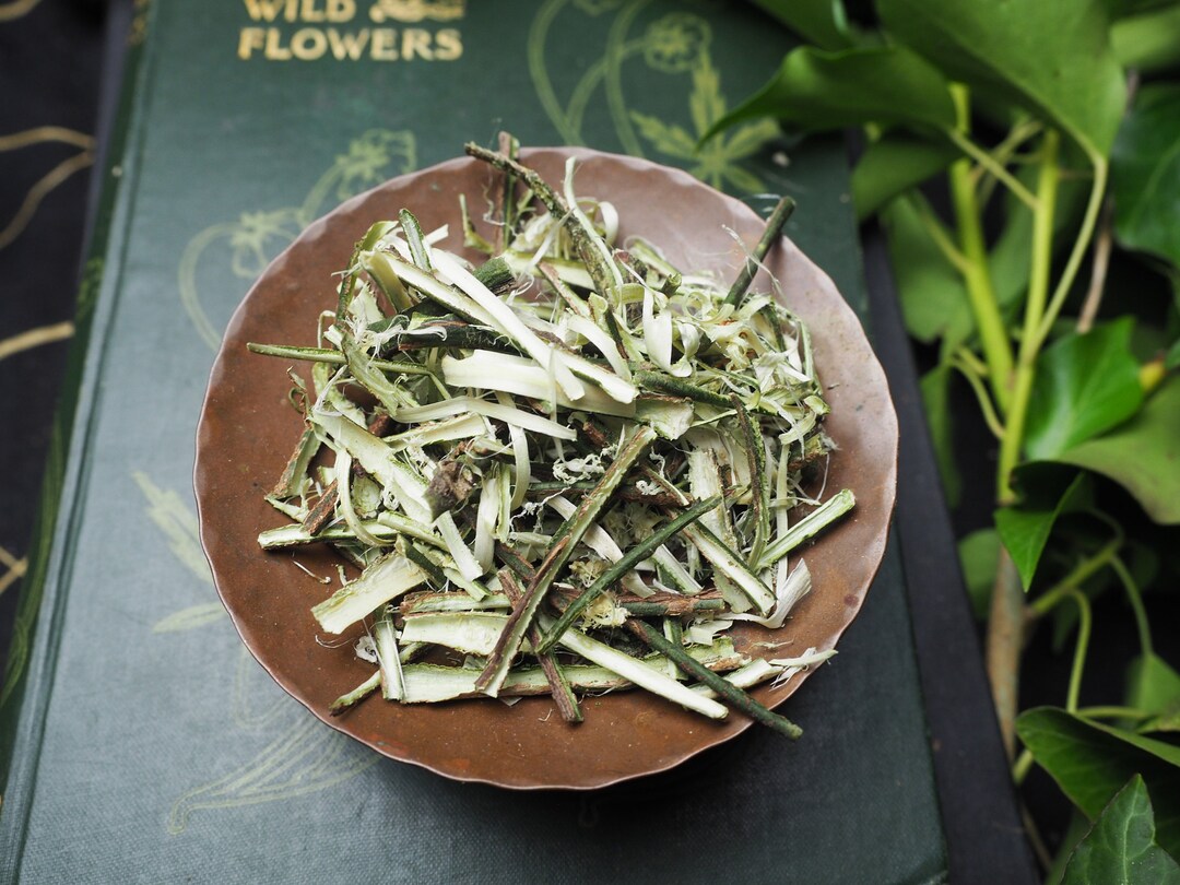 English Spindle Bark for Spell Work or Charms Pagan, Wicca, Witchcraft ...