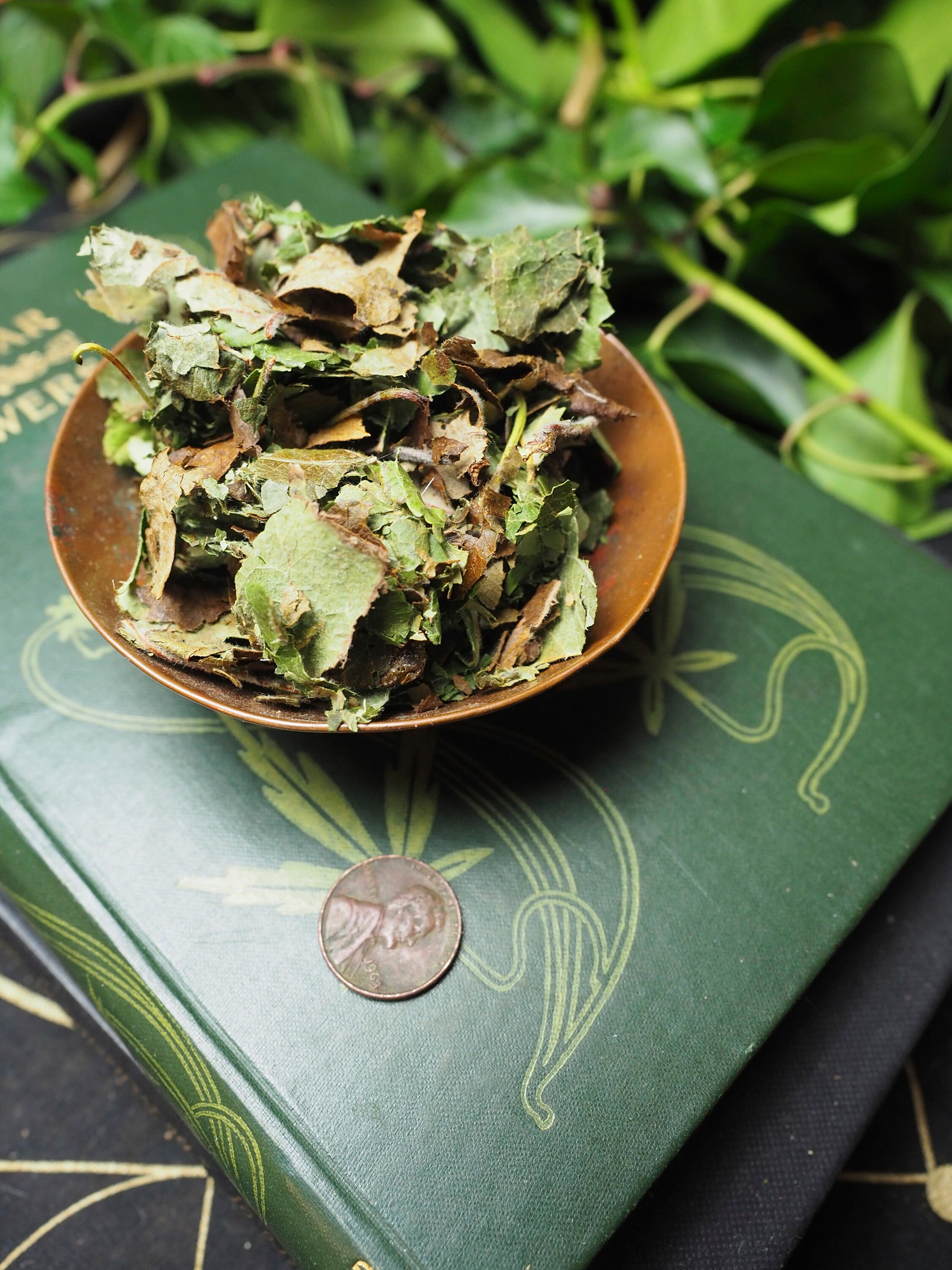 Avalon Apple Leaves for the Spell Work Incense or Charms | Etsy