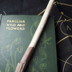 Burdock Witches Wand for Binding Magic Pagan, Wicca, Witchcraft, Wicca ...