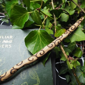 English Ivy Wood Spiral Wand Tenacity, Transformation Pagan, Wicca ...