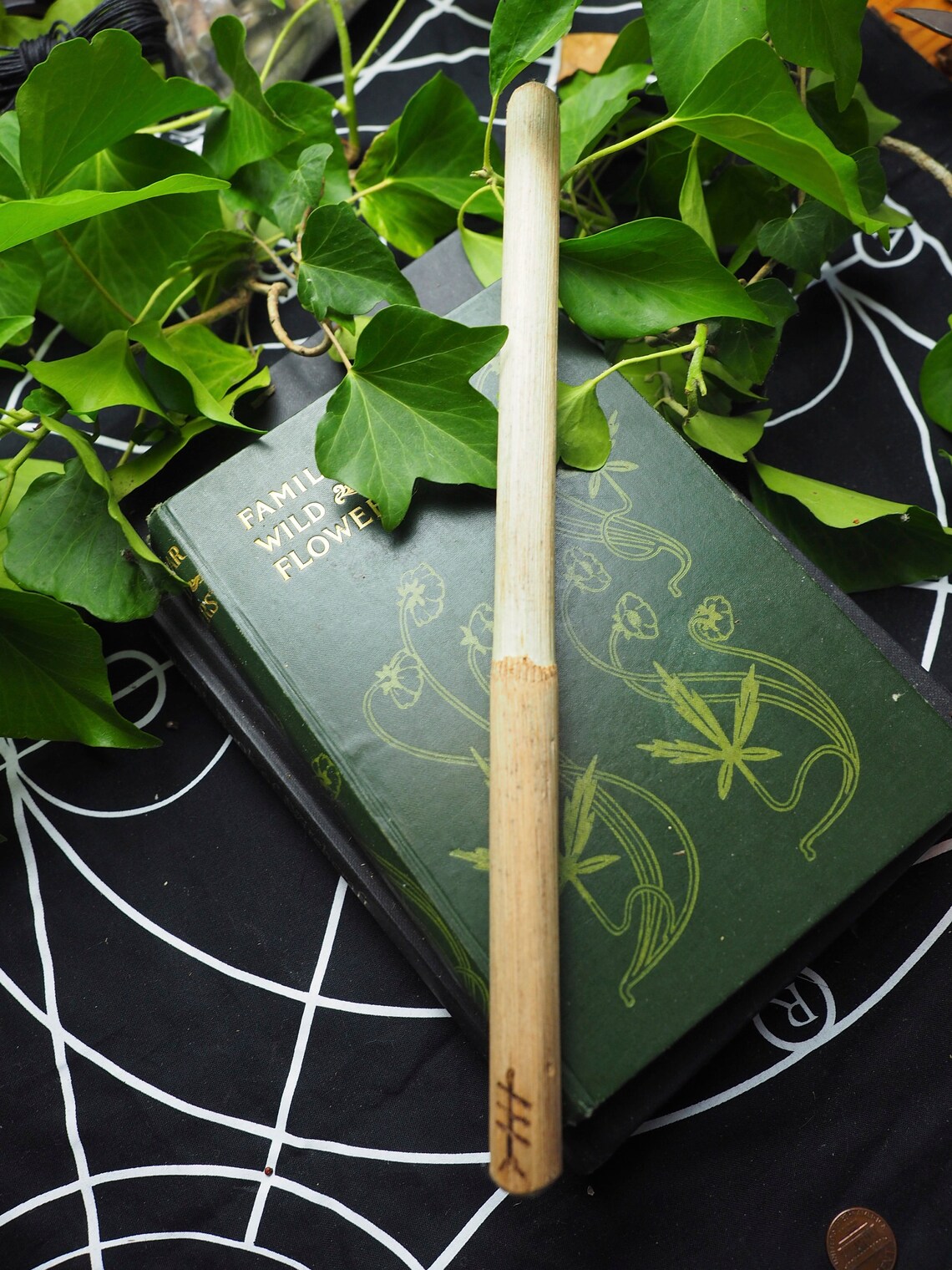 Unusual Reed Wand Ngetal Healing for Pagans Witches - Etsy