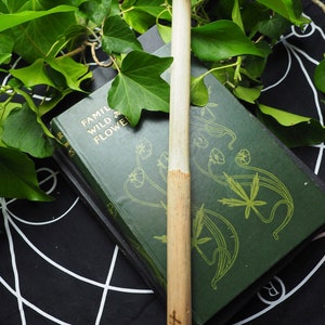 Unusual Reed Wand Ngetal Healing for Pagans Witches - Etsy