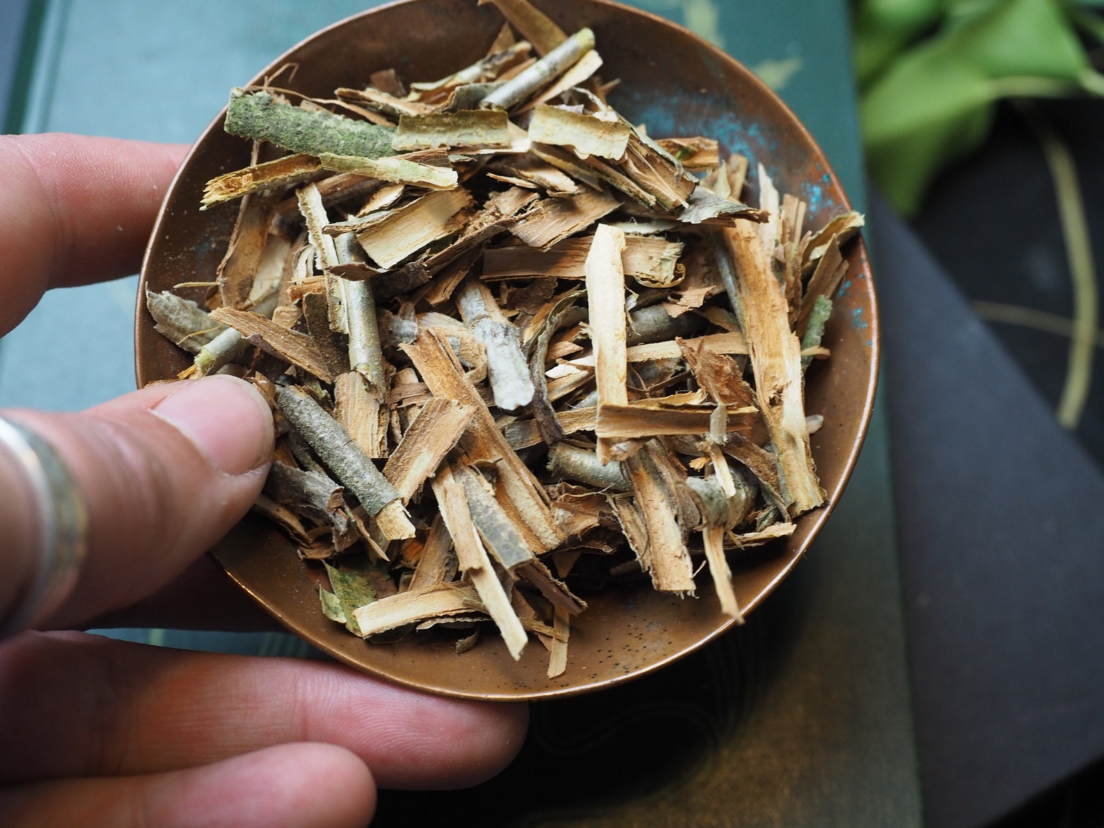 English Rowan Bark for Protection & the Fey Spellwork - Etsy