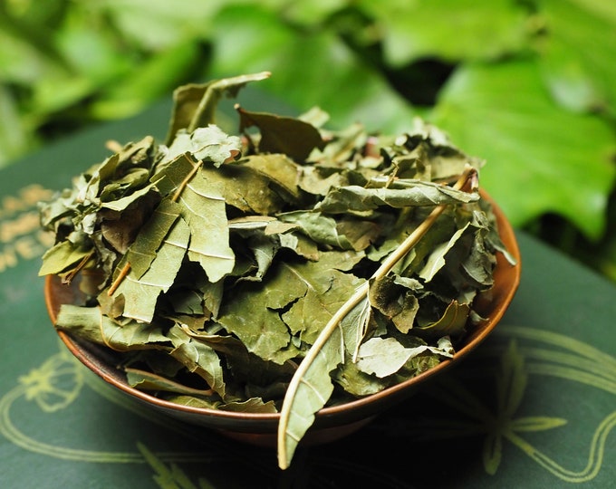 English Ash Keys for Astral Work, Use in Magical Spells, Incense ...