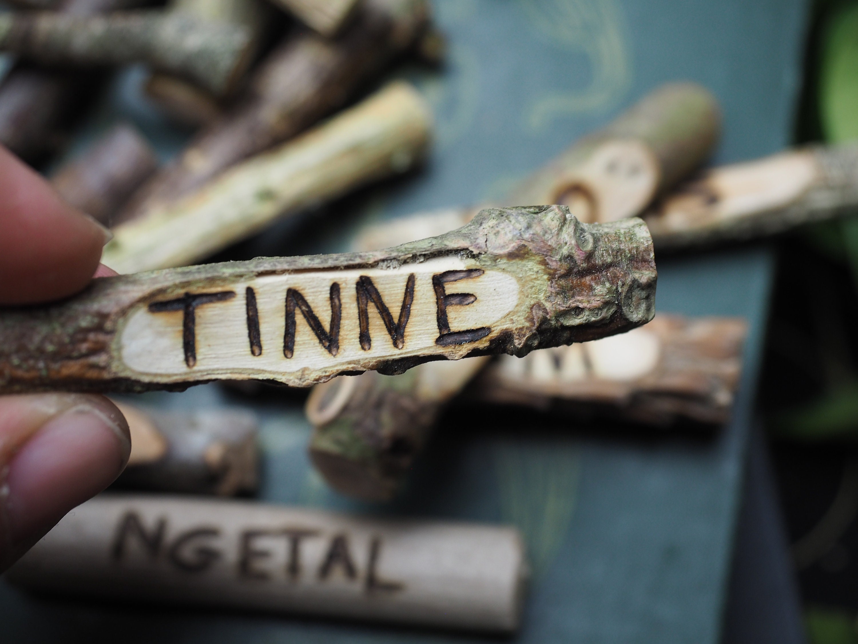 20 Celtic Tree Ogham Staves With Gaelic Letter Names Made on - Etsy