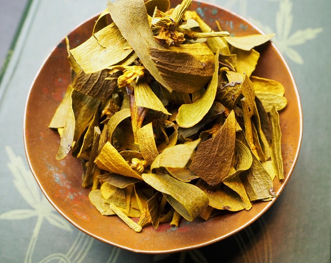 English Mistletoe for Magic & Love Spellwork Charms or - Etsy