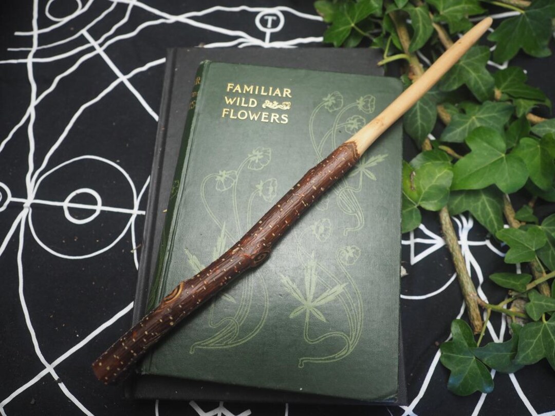 English Alder Wood Wand - Protection, Shielding and Prophecy ...