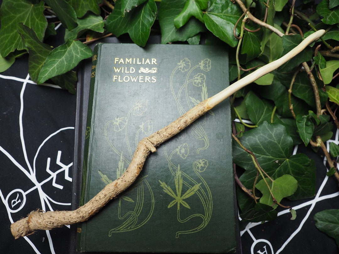 English Ivy Wood Wand Tenacity & Transformation Pagan, Wicca ...