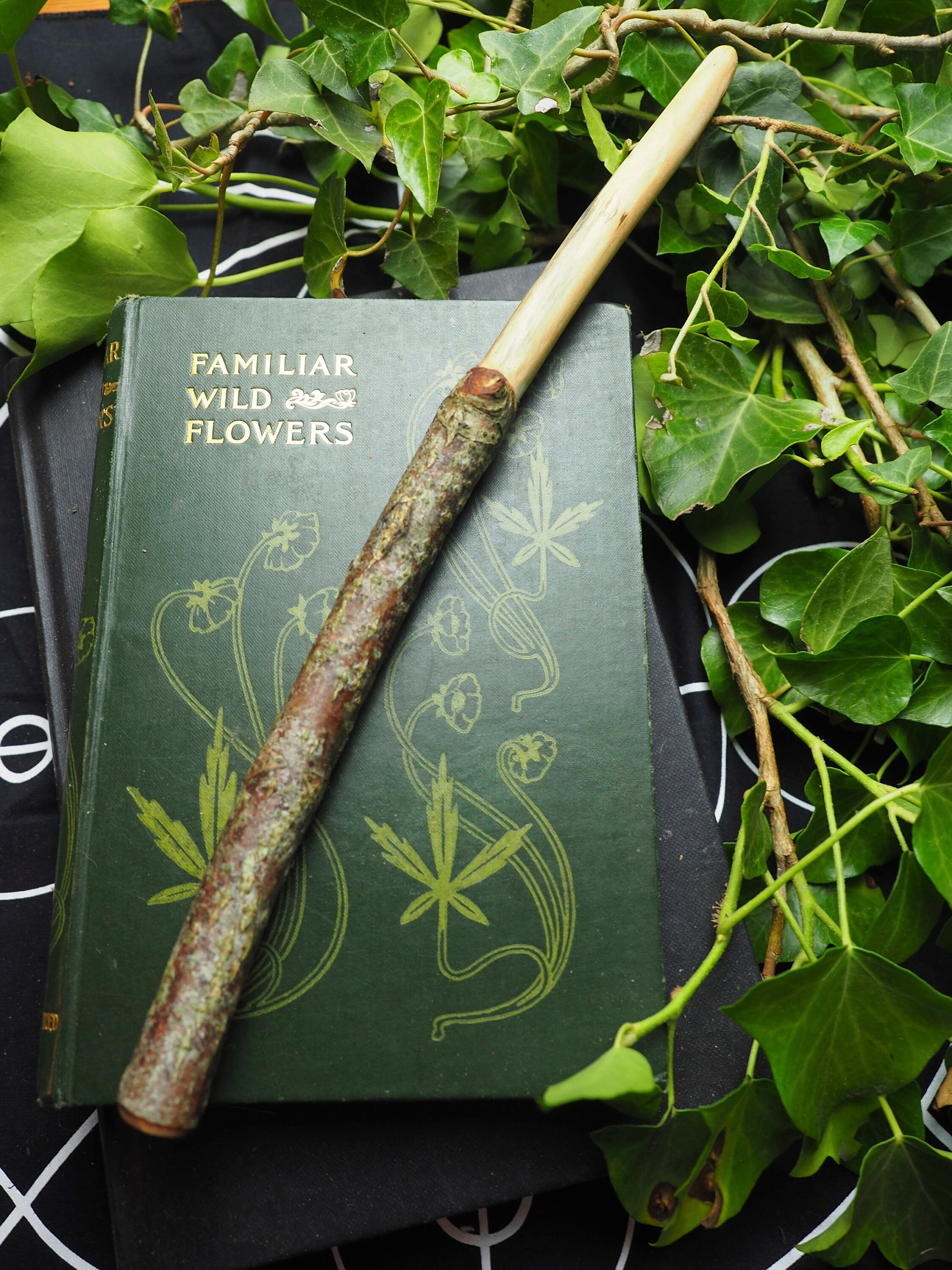 English Walnut Wood Wand Protection Breaking Psychic Ties - Etsy
