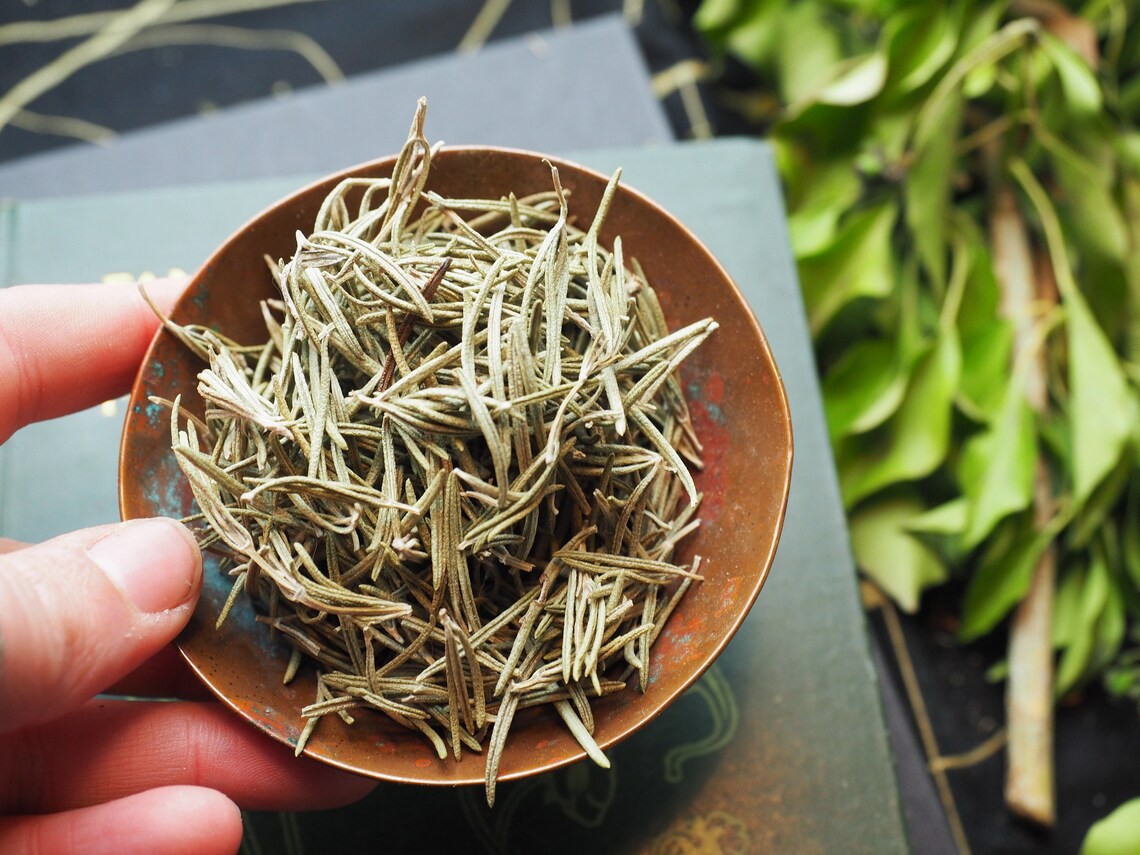 English Rosemary for Memory Ancestors and Cleansing | Etsy