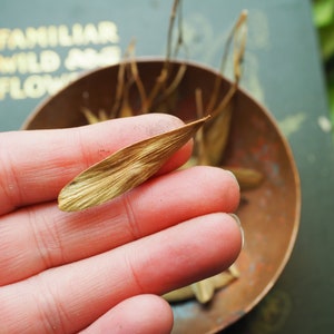 English Ash Keys for Astral Work, Use in Magical Spells, Incense ...