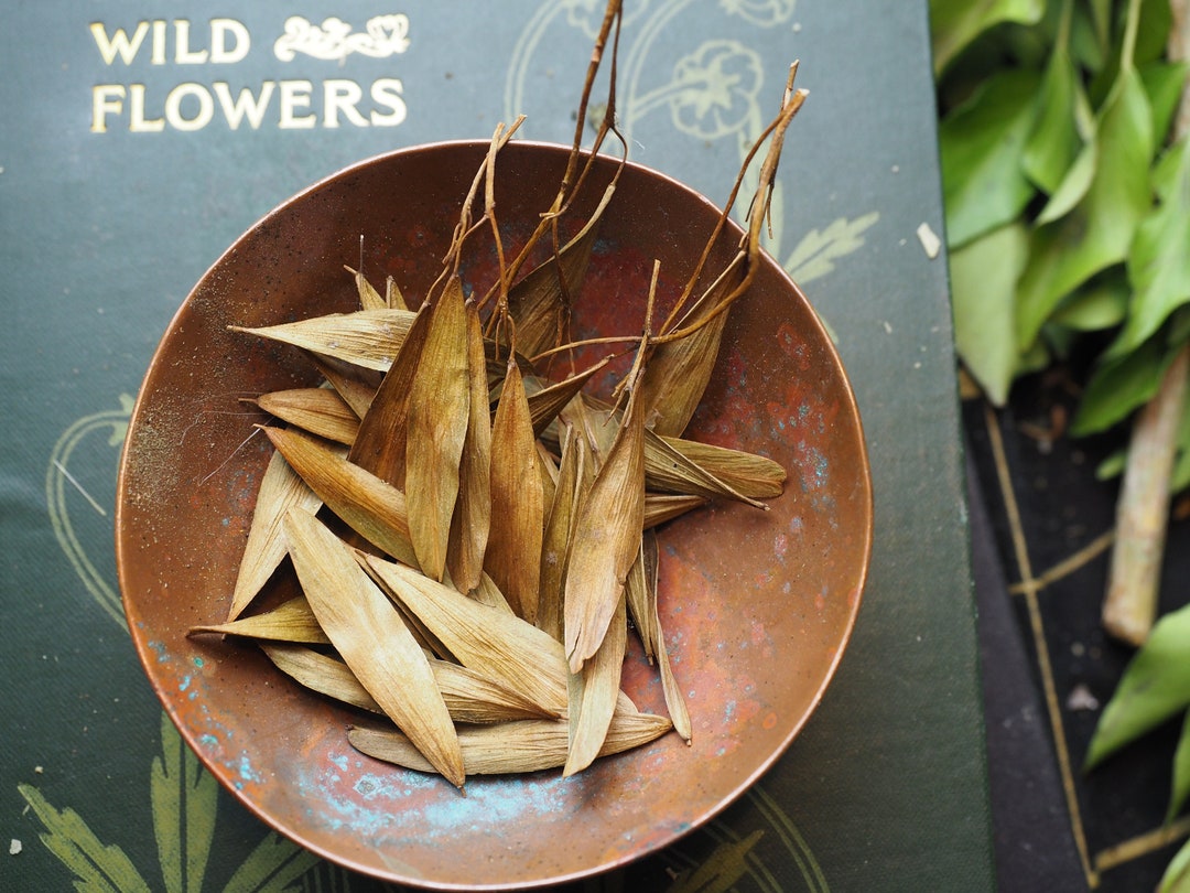 English Ash Keys for Astral Work, Use in Magical Spells, Incense ...