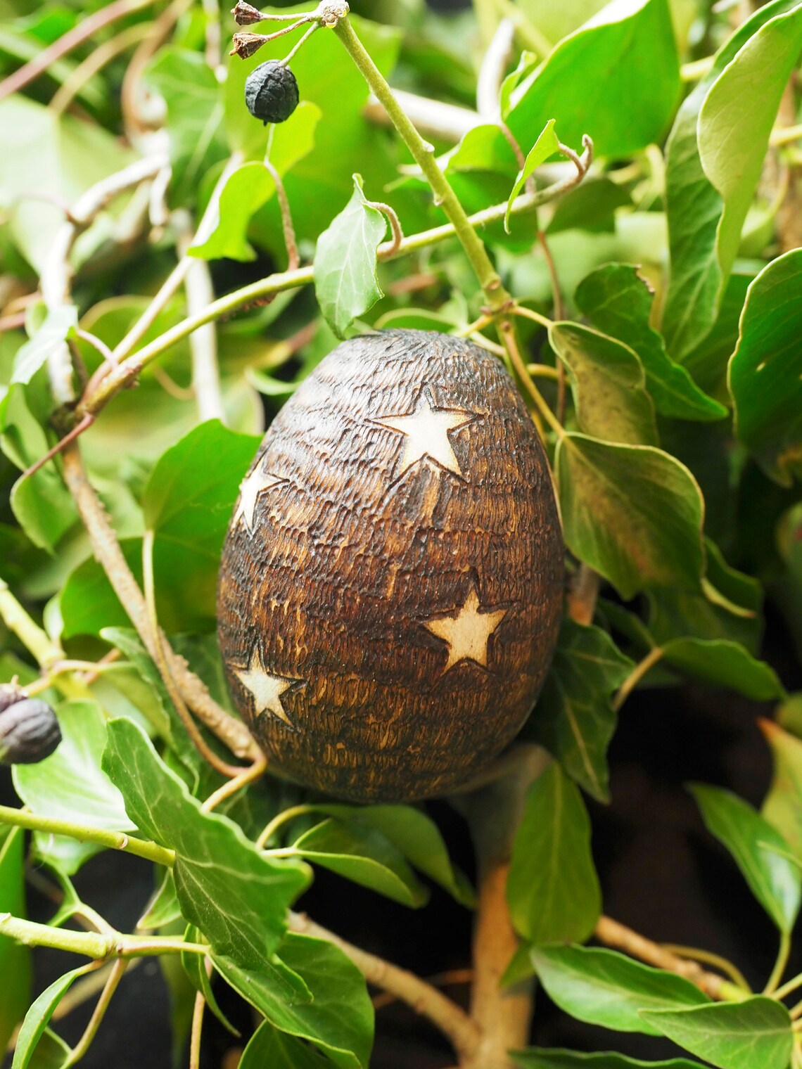 Wooden Goddess Ostara Egg - Transformation, Fertility Magic, Pagan - Etsy