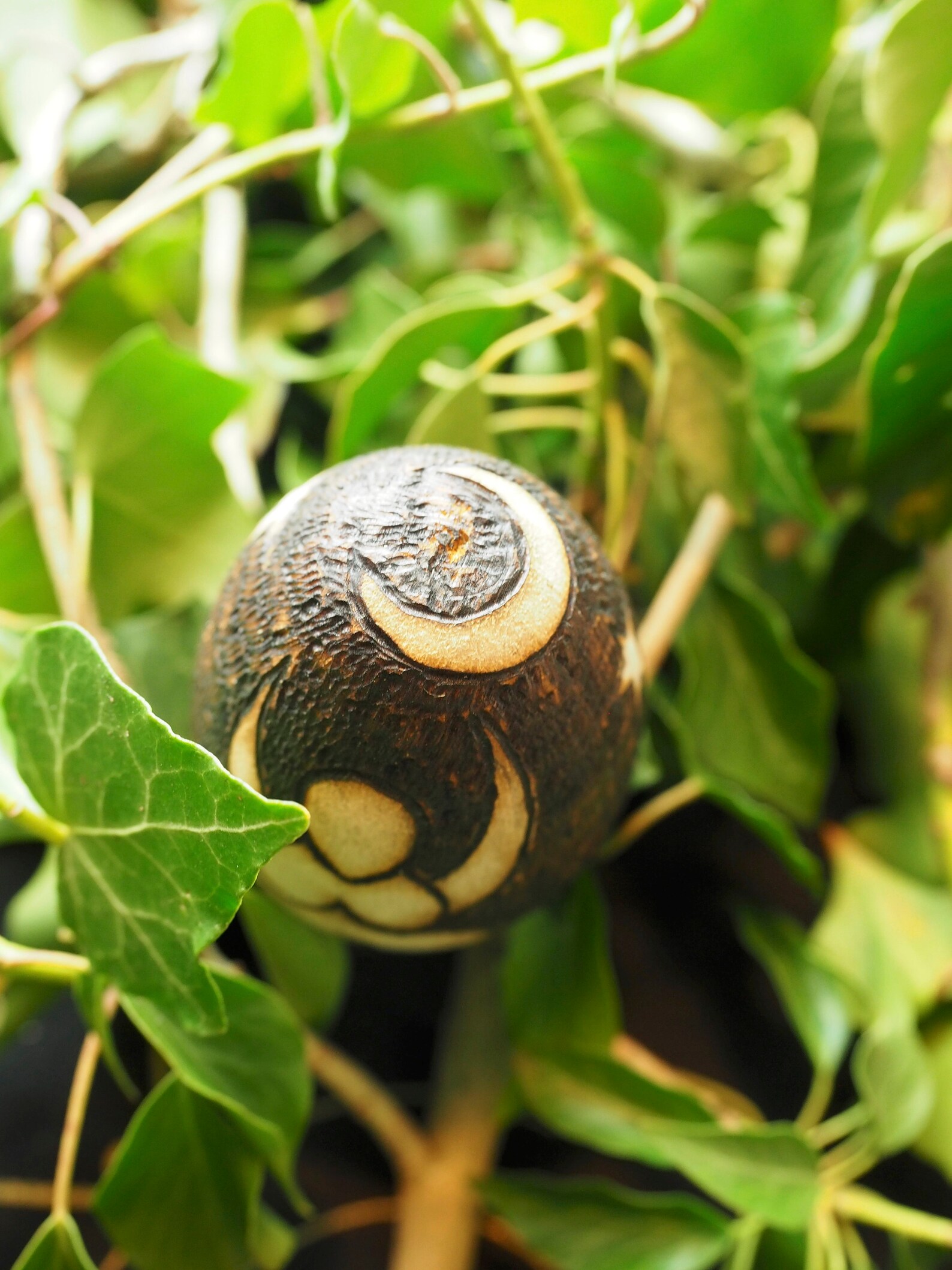 Wooden Goddess Ostara Egg - Transformation, Fertility Magic, Pagan - Etsy