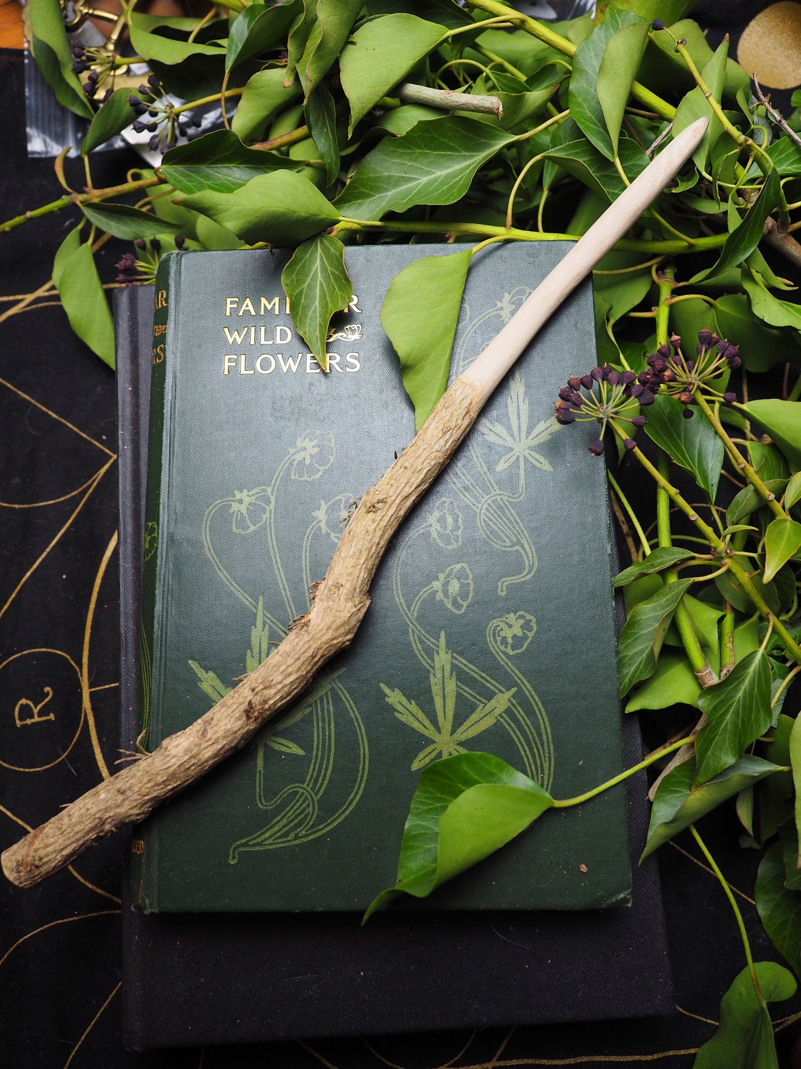 English Ivy Wood Wand Tenacity & Transformation Pagan | Etsy