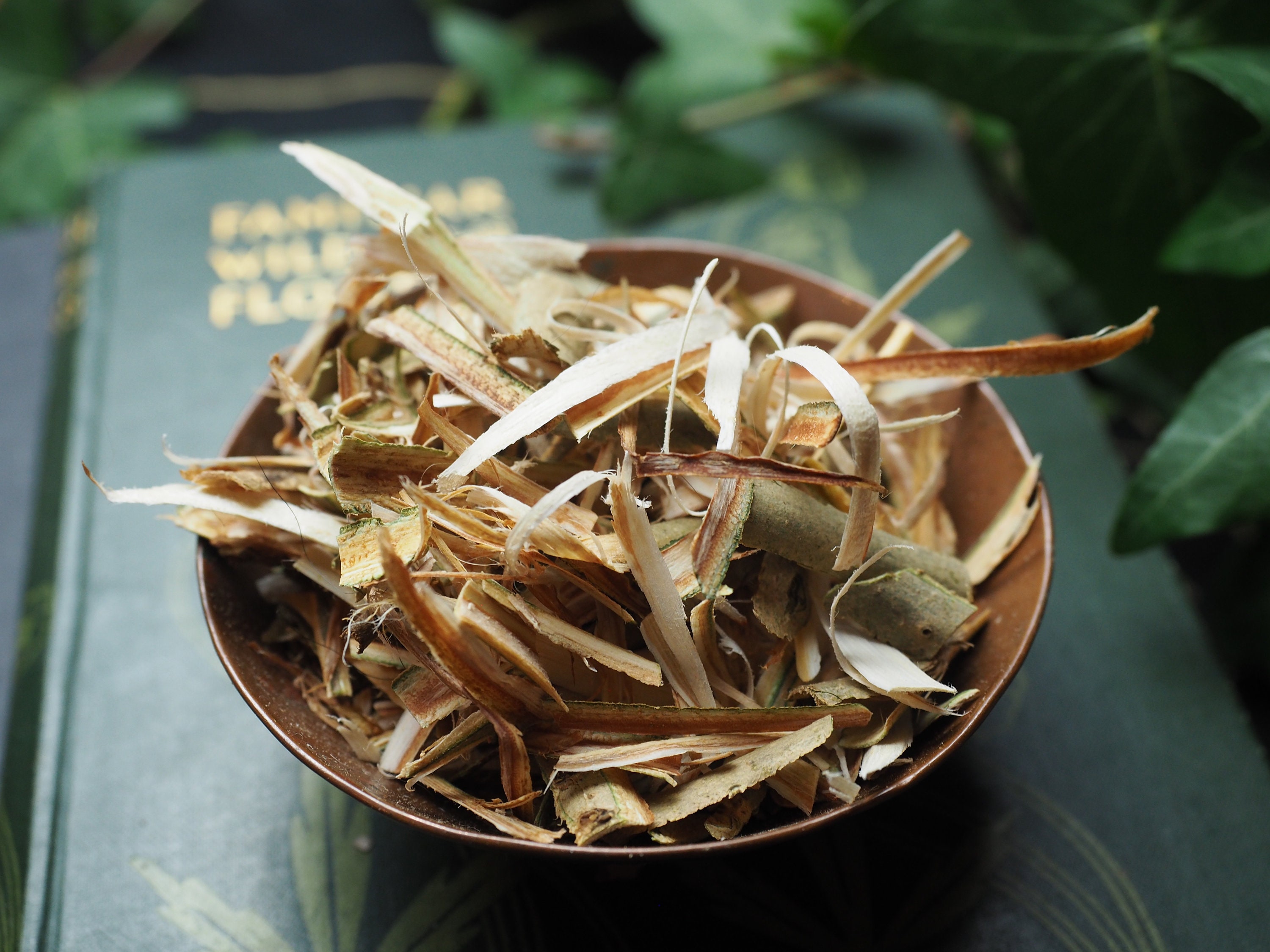 Avalon Ash Tree Bark for the World Tree Spellwork Charms or - Etsy