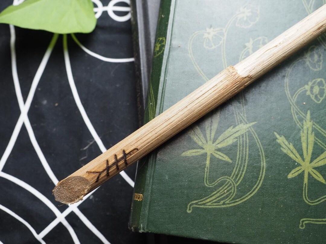 Unusual Reed Wand Ngetal Healing for Pagans, Witches, Wiccans, Magic ...