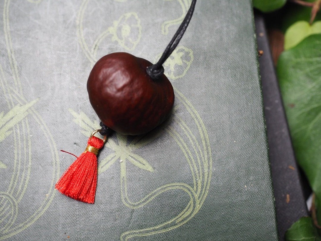 Buckeye Charm for Prosperity & Wealth - for Spellwork or Charms - Pagan ...