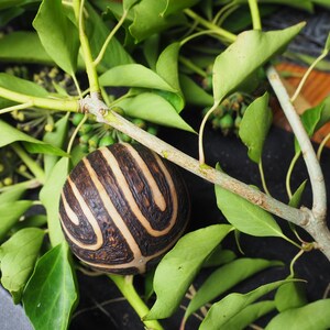 Wooden Labyrinth Meditation Sphere - Pagan, Wicca, Witchcraft, Easter ...