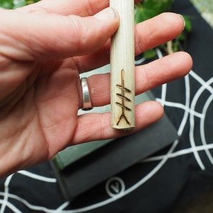 Unusual Reed Wand Ngetal Healing for Pagans, Witches, Wiccans, Magic ...