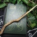 English Ivy Wood Wand Tenacity & Transformation Pagan, Wicca ...