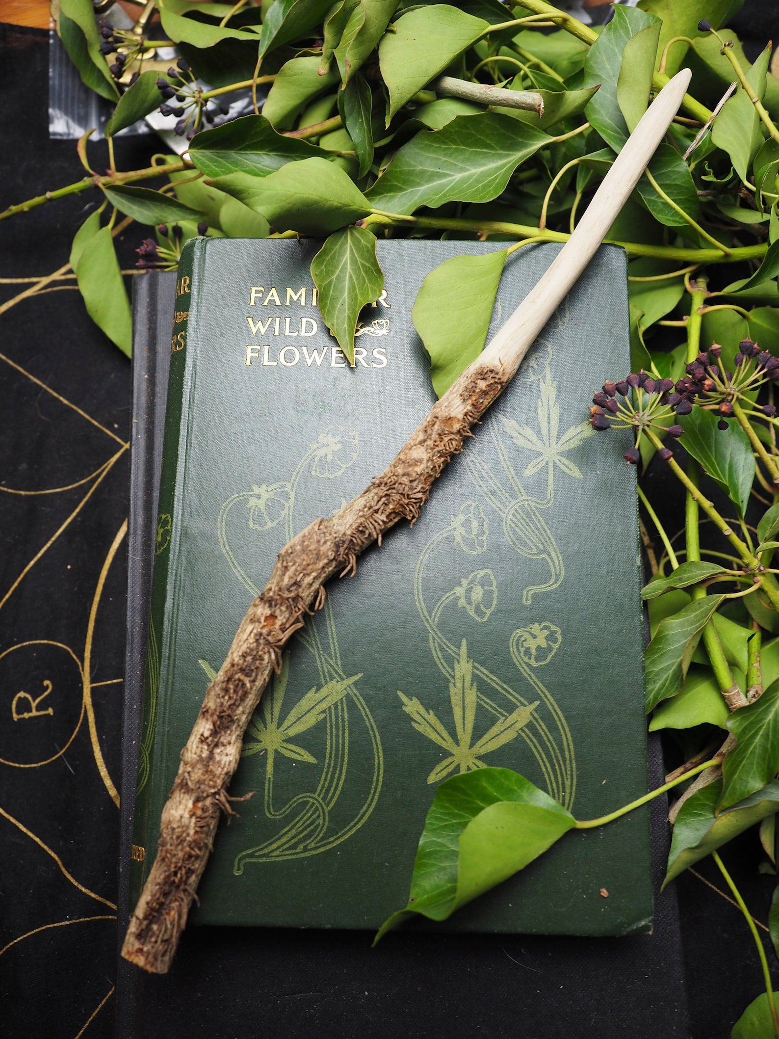 English Ivy Wood Wand Tenacity & Transformation Pagan | Etsy