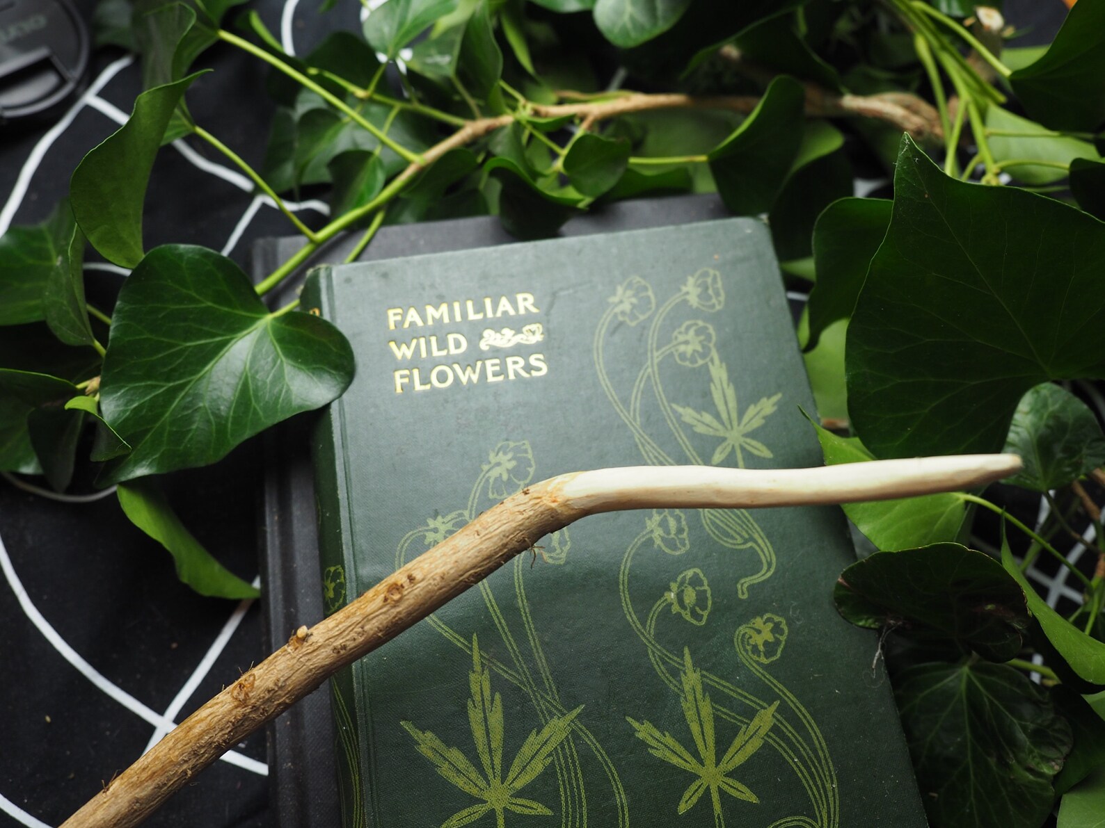 English Ivy Wood Wand Tenacity & Transformation Pagan - Etsy