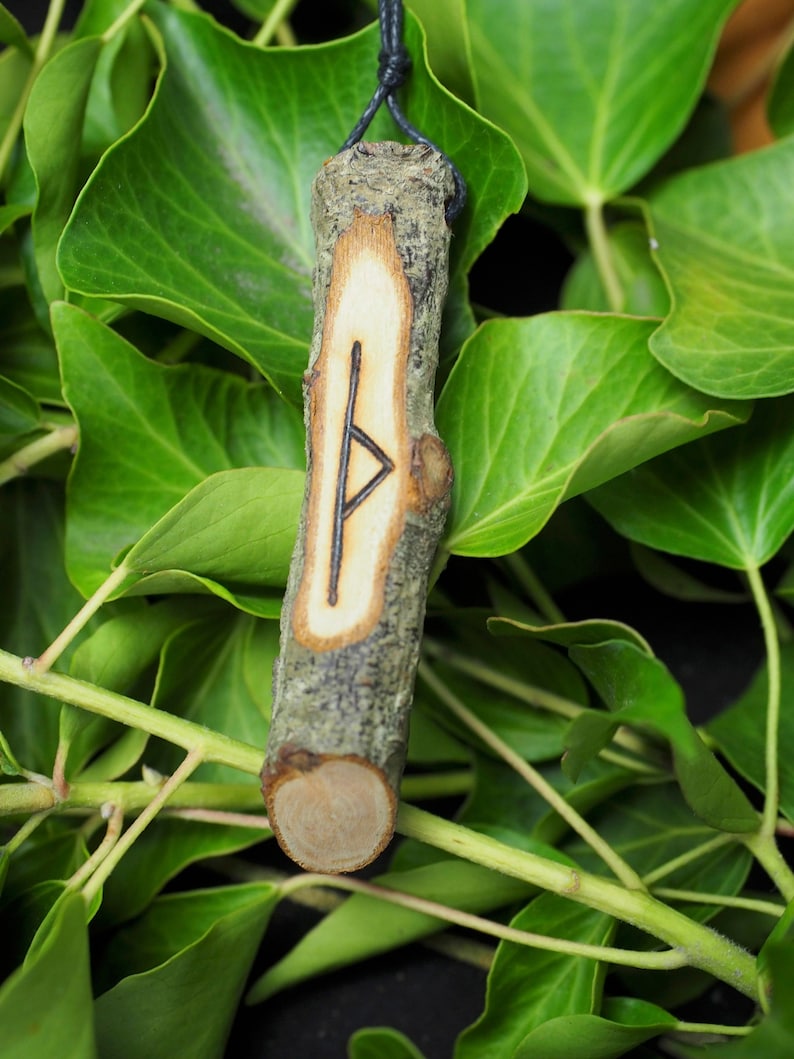 Blackthorn Thurisaz Rune Protection Charm Pendant - Against Hexes ...