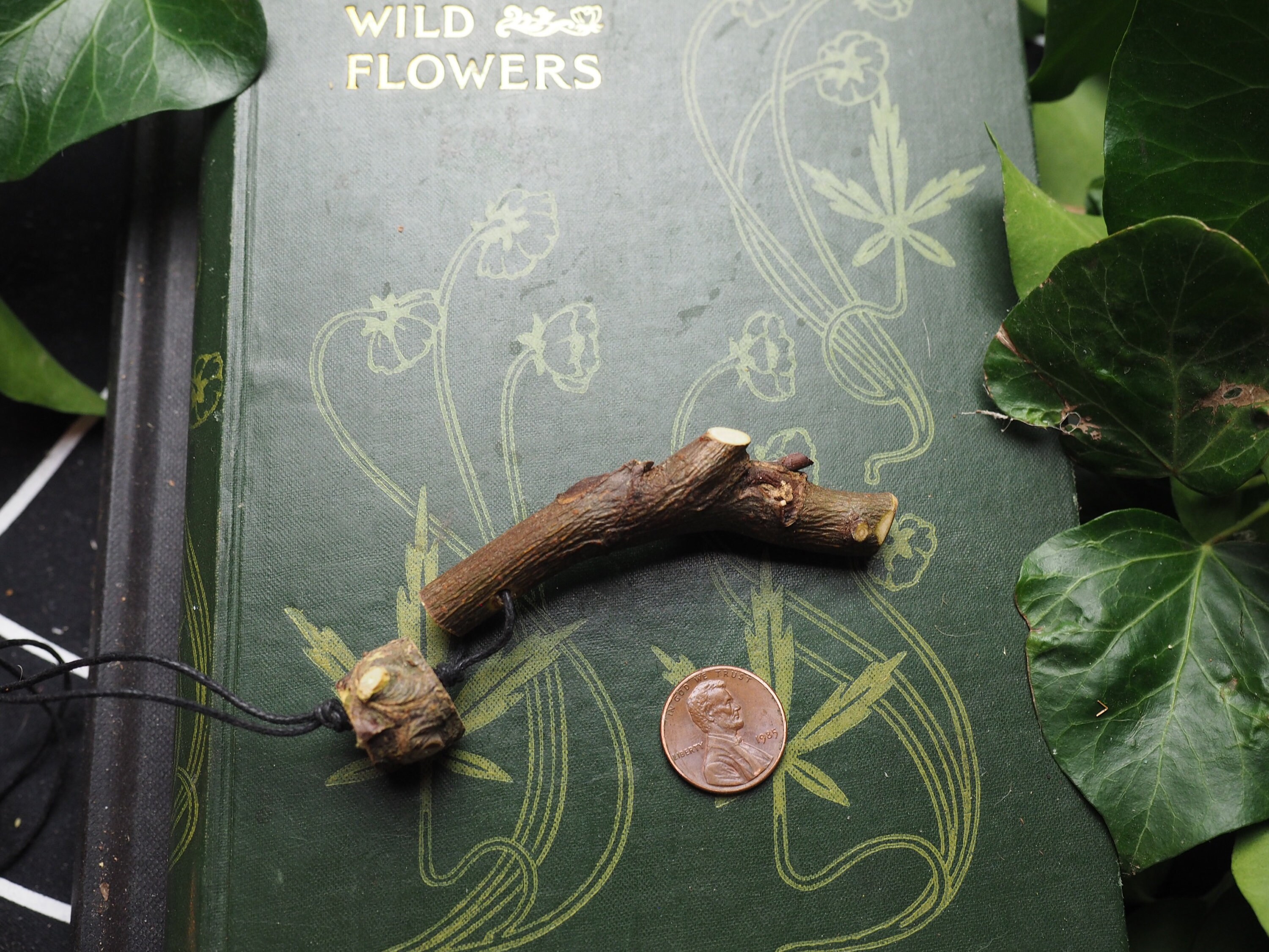 Avalon Apple Wood Pendant Pagan Wicca Witchcraft Ogham - Etsy