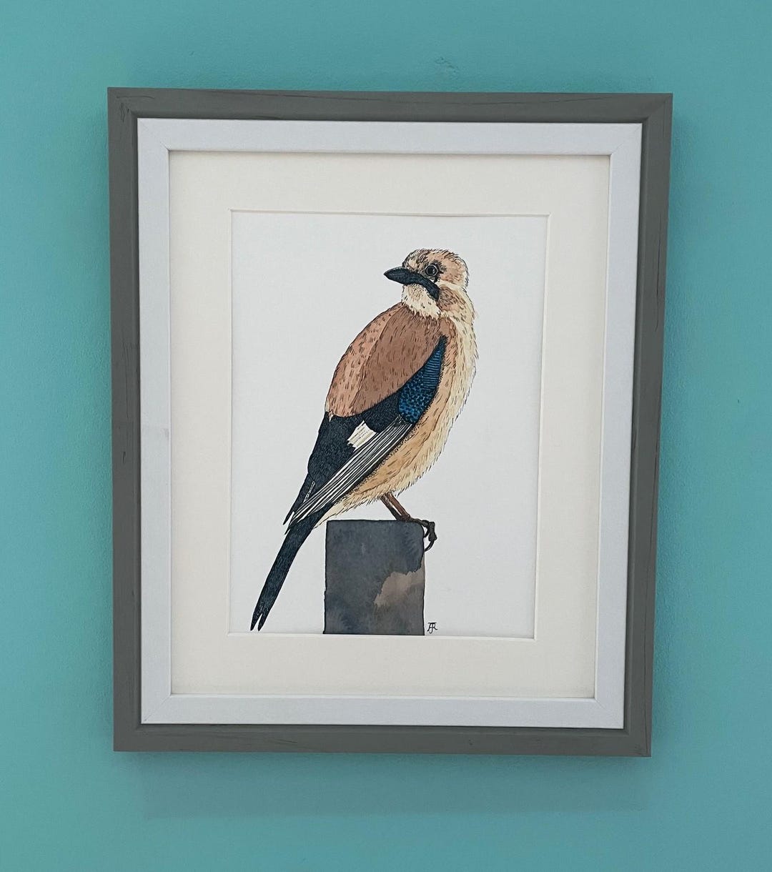 Jay: Original Bird Watercolour and Pen and Ink Painting - Etsy