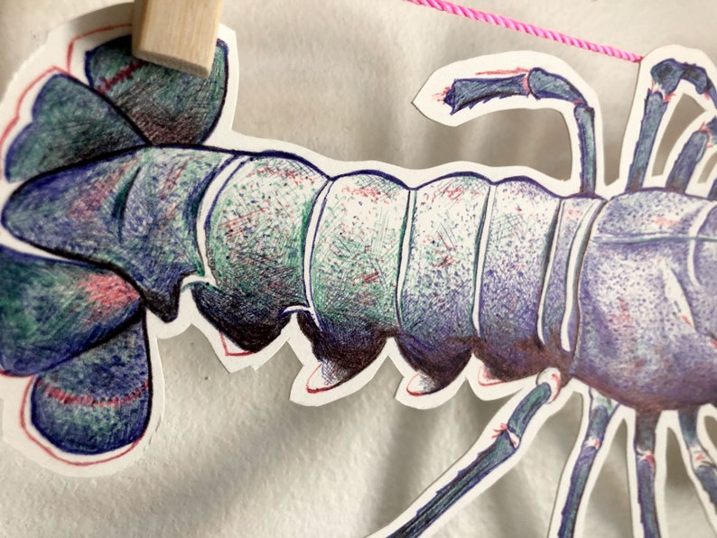 Lobster - Etsy