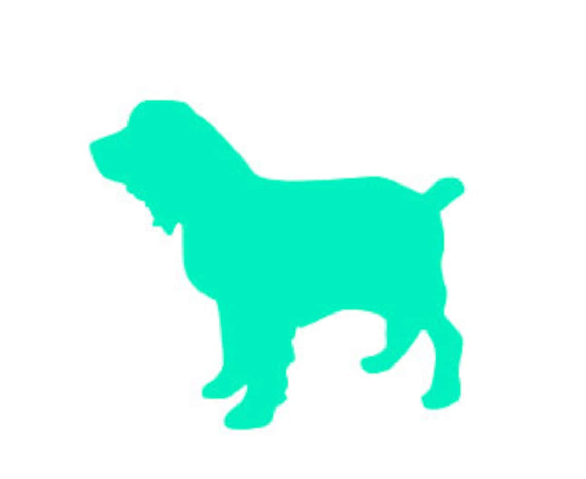 Boykin Spaniel Decal / Decals / Sticky Decal / Boykin Decal / - Etsy