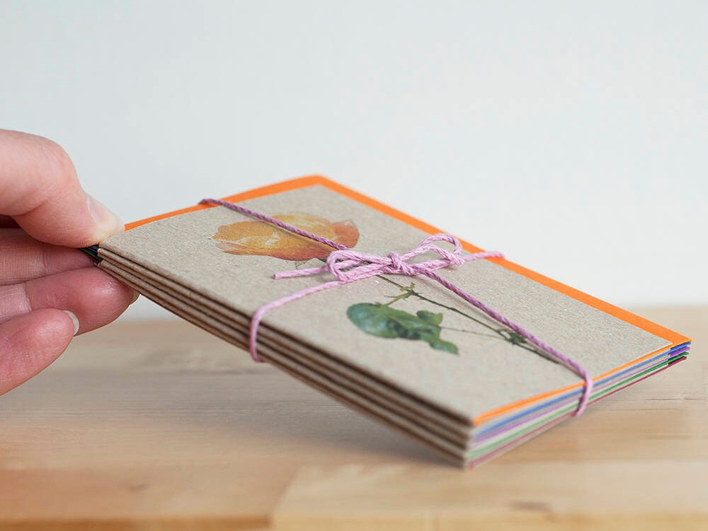 Flower Notelets, 5 Blank Photo Note Cards With 5 Coloured Envelopes ...